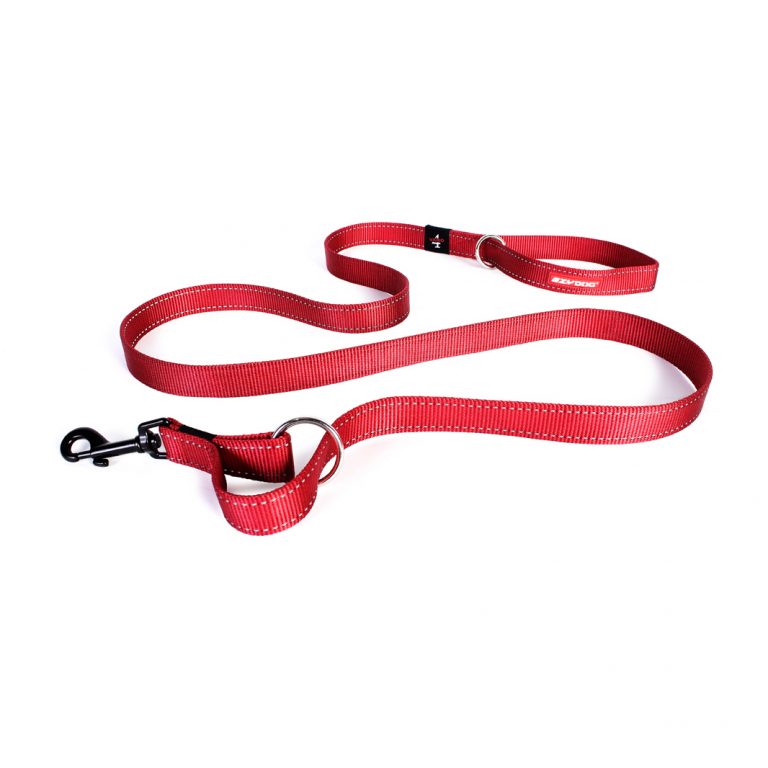 EzyDog - 4 Multi-Function Dog Lead